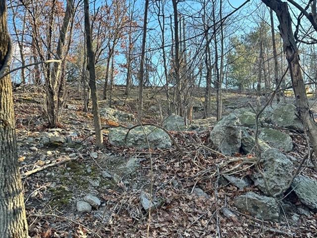 0 Vfw Pkwy, Boston, MA 02132 | MLS #73491 | Compass