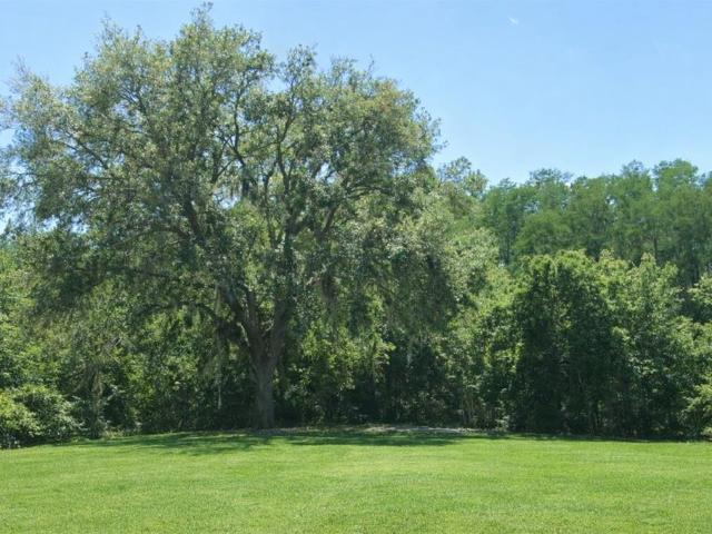 0 Vía Segovia, New Port Richey, FL 34655 | MLS #TB8481 | Compass