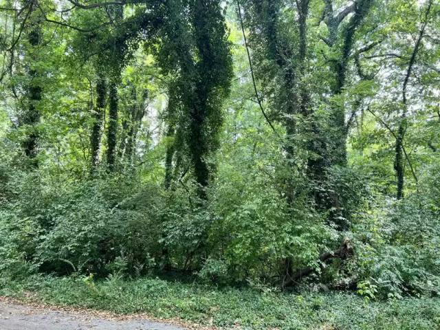 0 VINEWOOD DRIVE, CHATTANOOGA, TN 37406 Vacant Land For Sale.