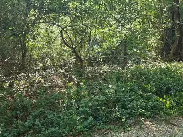 0 VINSON LN, RUSSELLVILLE, AL 35653