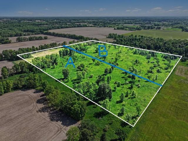 0 V/L E Charles Rd Parcel A, Ionia, MI 48846