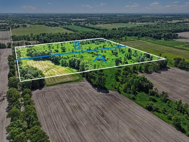 0 V/L E Charles Rd Parcel B, Ionia, MI 48846