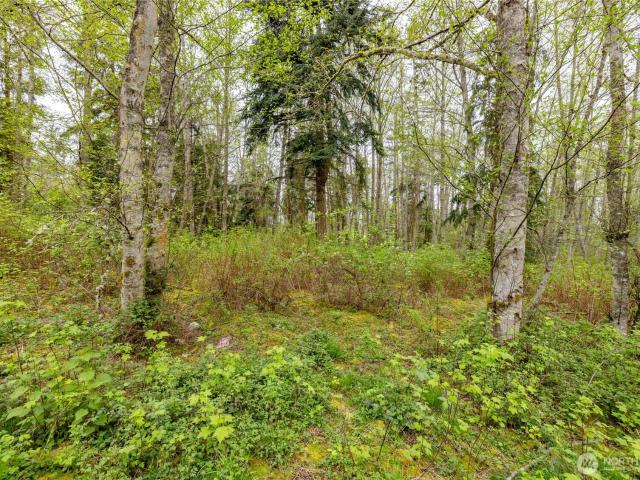 0 W Ault Field Road Lot 2