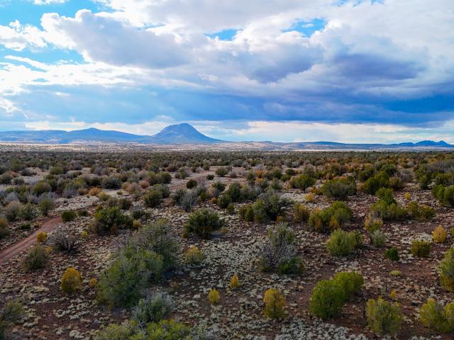 0 W Big Moon Ln, Unit 14, Ash Fork, AZ 86320 | MLS #7017