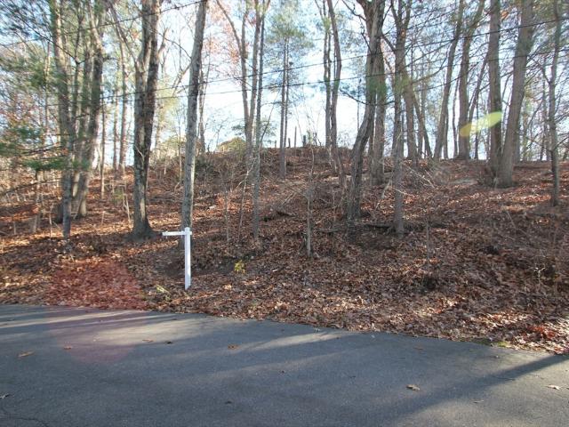 0 W Birch Rd, Norfolk, MA 02056 | MLS #73456