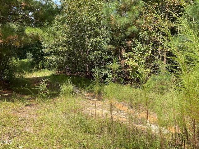 0 W Governor Brandon St, Spring Lake, NC 28390 | MLS #10121