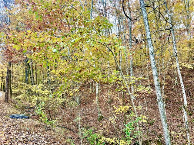 0 W Garretts Creek Rd, Westmoreland, TN 37186 | MLS #3042 | Compass