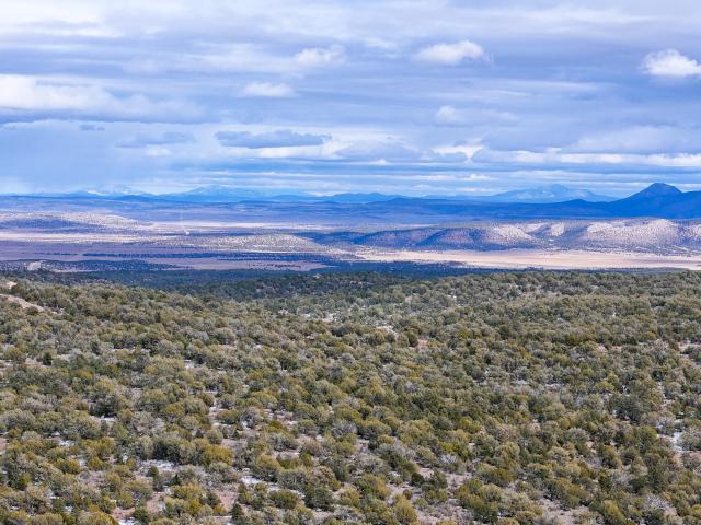 0 W Elkhorn Pass, Seligman, AZ 86337 | MLS #261141