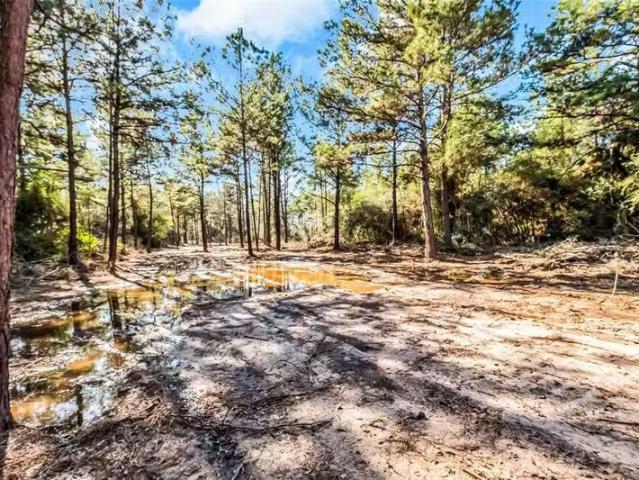 0 W Hardy 20433 Rd, Houston, TX 77073