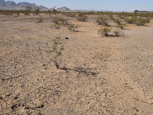 0 W Highland Ave, Unit 9, Tonopah, AZ 85354 | MLS #7017 | Compass