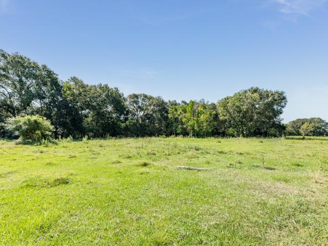 0 W Hwy W, West Columbia, TX 77486 | MLS #36729