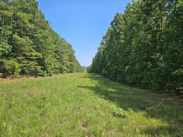 0 W James Anderson Hwy, Gladstone, VA 24553 | MLS #365525 | Compass