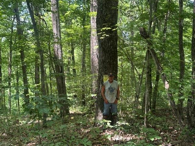 0 W of Ward Fork Rd