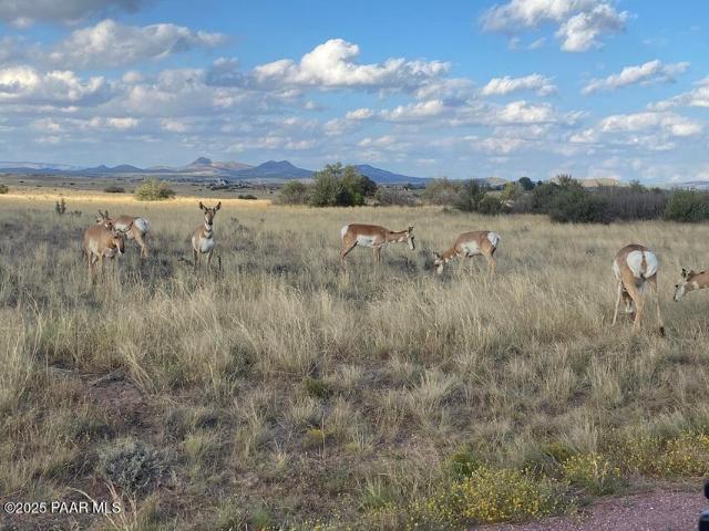 0 W Long Meadow Dr, Lot 42, Prescott, AZ 86305 | MLS #1080 | Compass