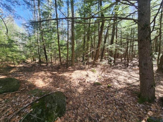 0 W Main St, Hillsborough, NH 03244 | MLS #5026 | Compass