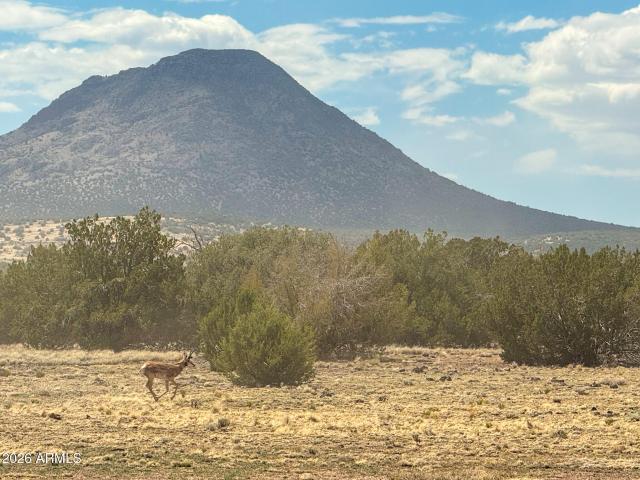 0 W Mile High Rd. Lot C 10 Acres # 84