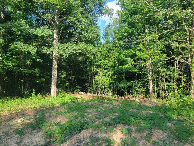 0 W Mt Mills Rd