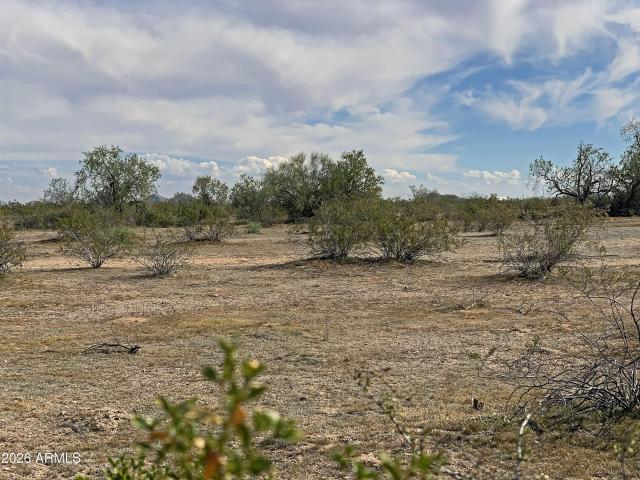 0 W Pampas Grass Rd, Unit 4, Maricopa, AZ 85139 | MLS #6987