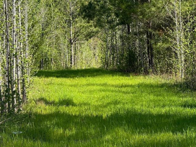 0 W Road