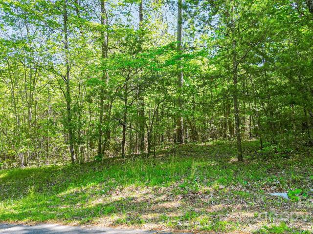 0 W Wt Wilkins Rd, Unit 11, Rutherfordton, NC 28139 | MLS #4136 | Compass