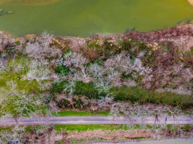 0 W Taylor Lake Cir, Livingston, TX 77351 | MLS #1943 | Compass