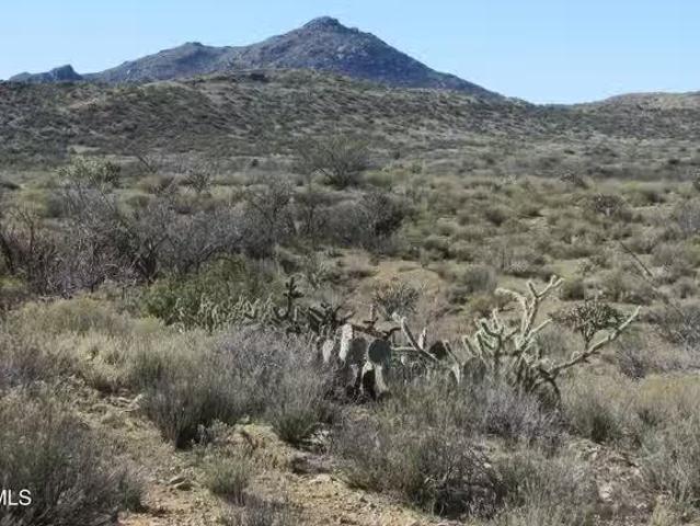 0 W Traveler Way, Congress, AZ 85332 MLS 1066368