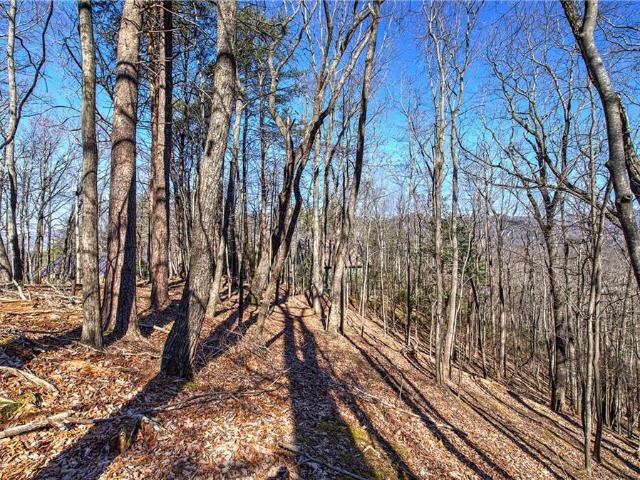 0 Walnut Mountain Rd, Ellijay, GA 30536 | MLS #7710 | Compass