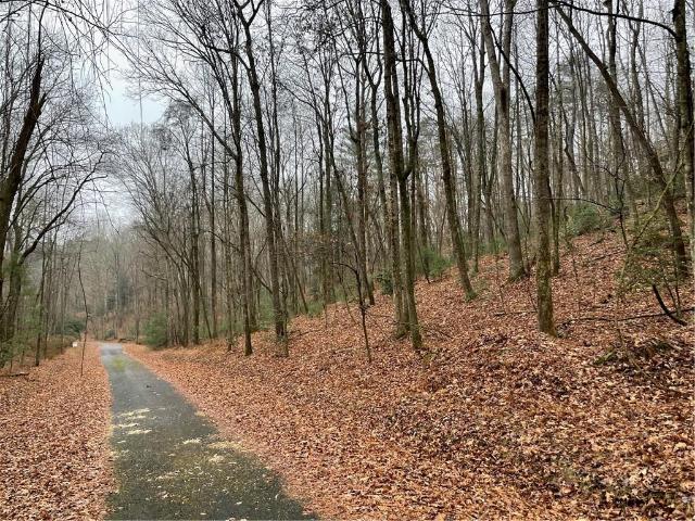 0 Walhalla Ct, Ellijay, GA 30540 | MLS #7736
