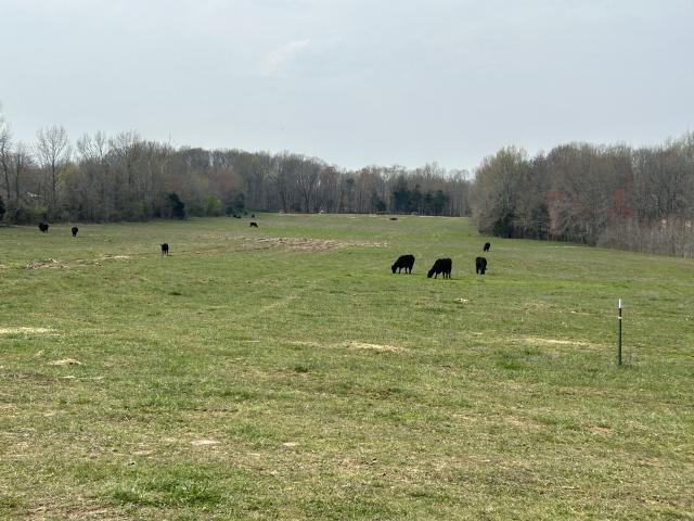 0 Washington Rd, Springfield, TN 37172 | MLS #2634
