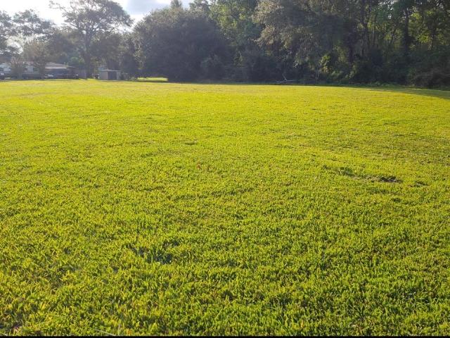 0 Ward Road