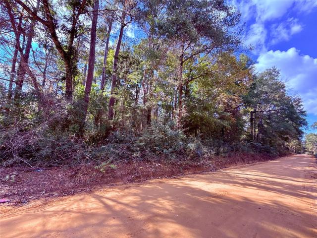 0 Warpath Dr, Livingston, TX 77351 | MLS #10488