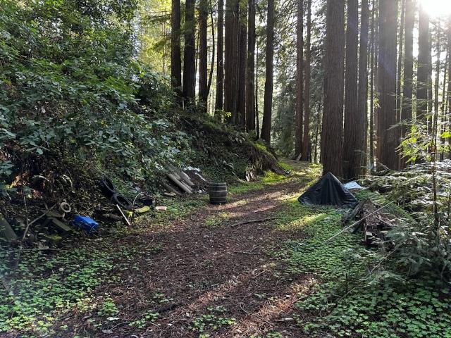 0 Warren Dr, Santa Cruz, CA 95060 | MLS #ML81961 | Compass