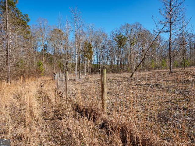 0 Warren Rd, White Plains, GA 30678 | MLS #10684