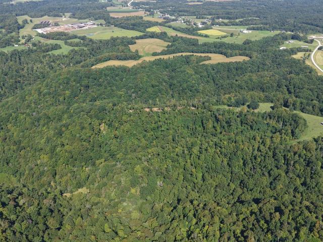 0 Wartrace Rd