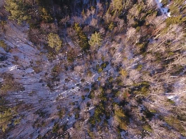 0 Waterford Hollow Ln, Waterford, VT 05819 | MLS #5072