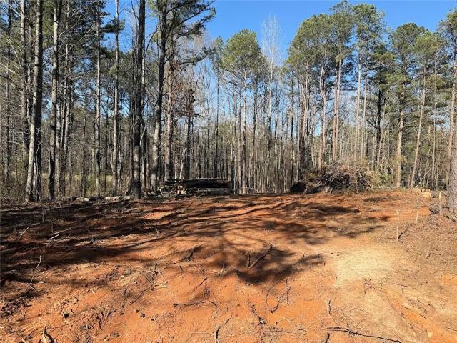 0 Waterford Rd, Bremen, GA 30110 | MLS #7739