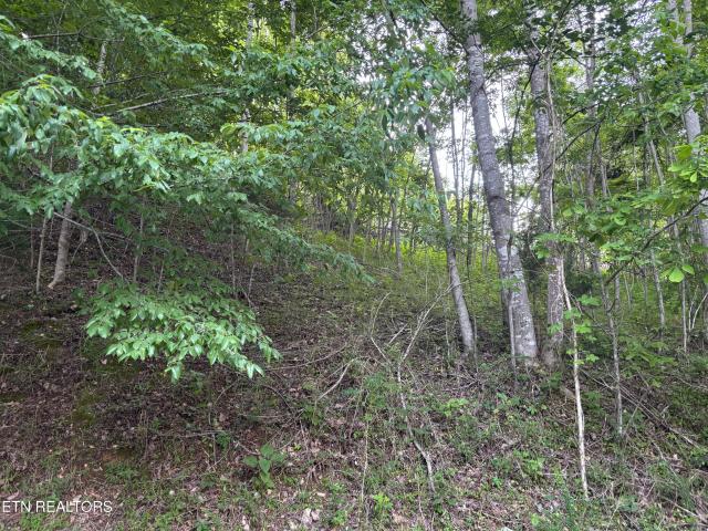 0 Waterwalk Ct, Smithville, TN 37166 | MLS #3164