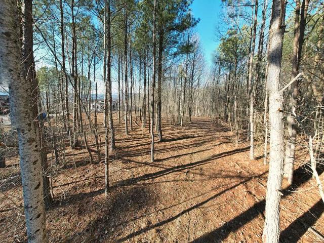 0 Waterwheel Way, Jasper, TN 37347 | MLS #2598