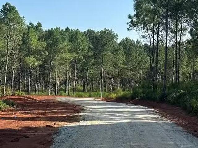 0 Watkins Farm Rd, Nicholson, GA 30565 MLS 7438340