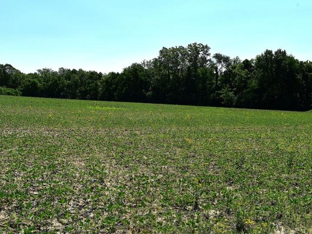 0 Watson Road E, Mooresville, US, IN