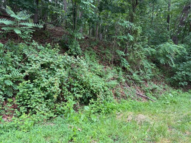 0 Waywood Hill Drive