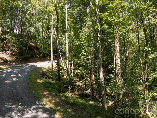 0 Weaver Lane