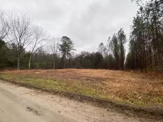 0 Weeping Cherry Ln, Manning, SC 29102 MLS 25008991