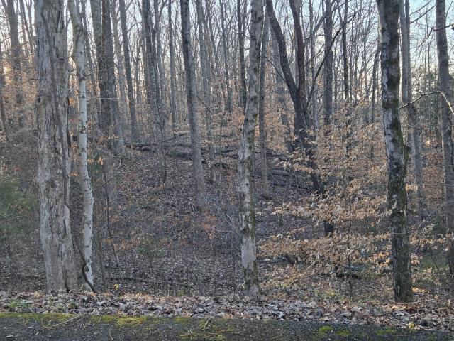 0 Westwood Dr Main St