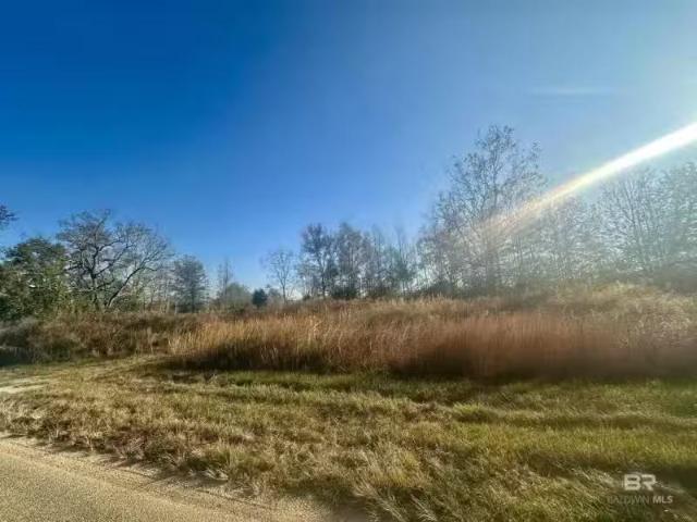 0 WEST ROAD, ATMORE, AL 36502 Vacant Land For Sale MLS# 371124