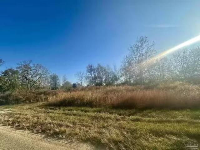 0 WEST RD, ATMORE, AL 36502 Single Family Residence For Sale.