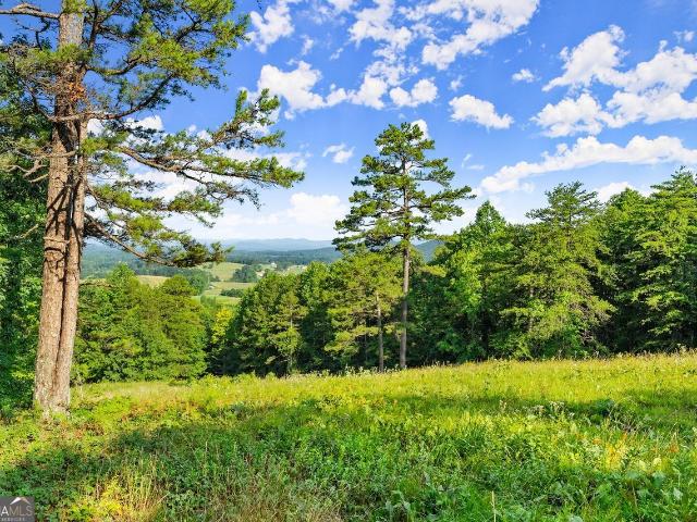 0 Westmoreland Rd, Cleveland, GA 30528 | MLS #10699 | Compass