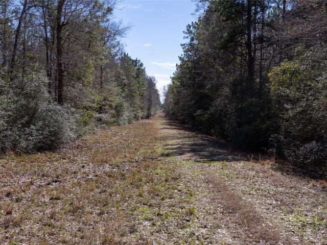 0 Whispering Pines Dr, Lumberton, TX 77657 | MLS #63123