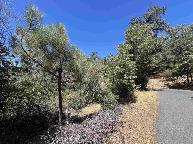 0 Whispering Pines Dr, Unit 186, Julian, CA 92036 | MLS #260007