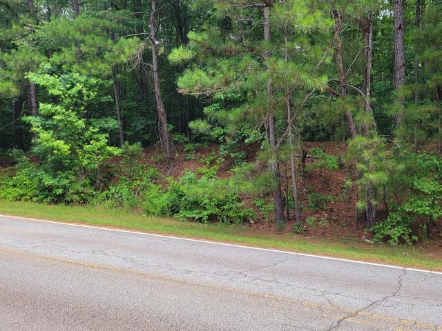 0 White Mill Rd, Fairburn, GA 30213 | MLS #10095